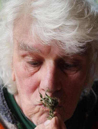 Soft Secrets | Tijdschrift over de Cannabis / Wiet cultuur