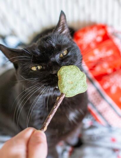 Soft Secrets | Magazine about Cannabis / Weed culture.