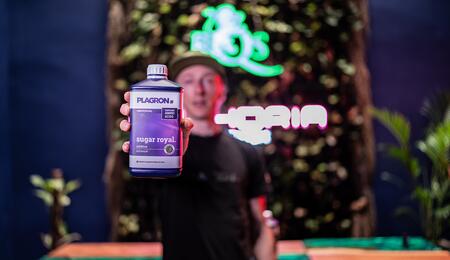 The Perfect Grow S2E5 - Nährstoffe für erstklassige Blüten - Soft Secrets