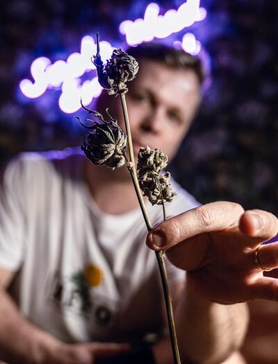 Soft Secrets | Magazine about Cannabis / Weed culture.