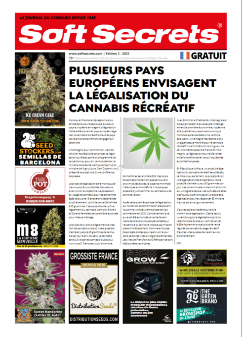 Magazines - Soft Secrets